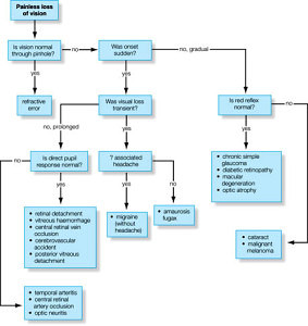 Vision loss - General Appoach | Epomedicine