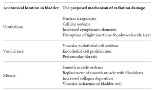 Radiation cystitis : Diagnosis, prevention and management | Epomedicine