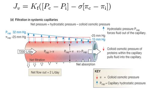 Perioperative Fluid Management Epomedicine Perioperative Fluid Management Epomedicine