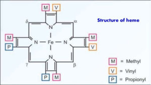 Heme Synthesis and Defects Simplified | Epomedicine