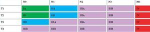 TNM and Staging of Lung Cancer Simplified | Epomedicine
