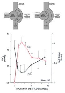Concentration effect, Second gas effect and Diffusion hypoxia | Epomedicine