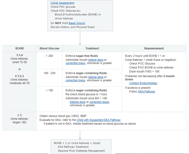 Bulbocavernosus Reflex (BCR) | Epomedicine
