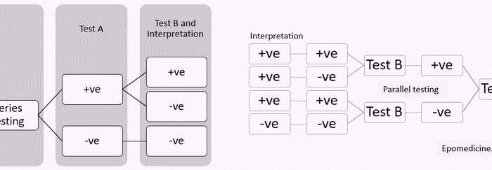 Anatomical basis of Wallenberg (Lateral Medullary) Syndrome : Mnemonic ...