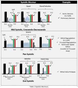Heart Sounds – Murmurs | Epomedicine