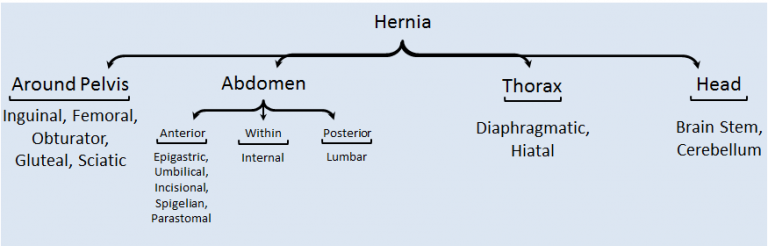 Hernia - The Others | Epomedicine