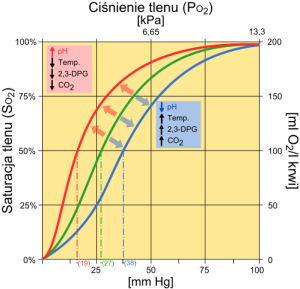 Bohr and Haldane Effect : Mnemonics | Epomedicine