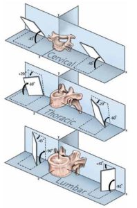 Facet Joint Orientation : Mnemonic | Epomedicine