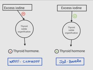 Jod-Basedow Phenomenon vs Wolff-Chaikoff Effect : Mnemonic | Epomedicine